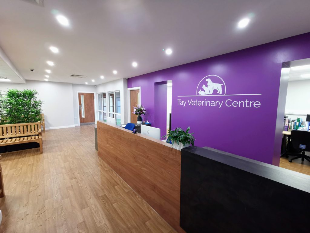 Vets Dundee - Tay Veterinary Centre